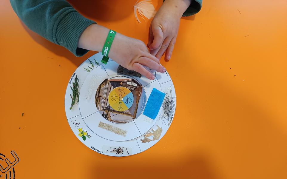 Atelier 4-6 ans Les saisons du marais