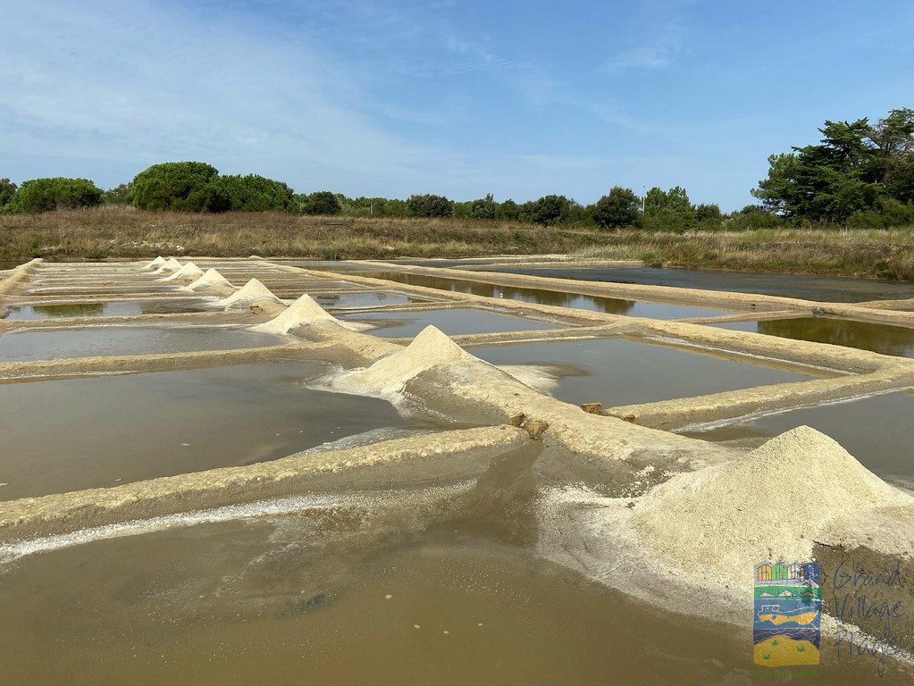 le Port des Salines